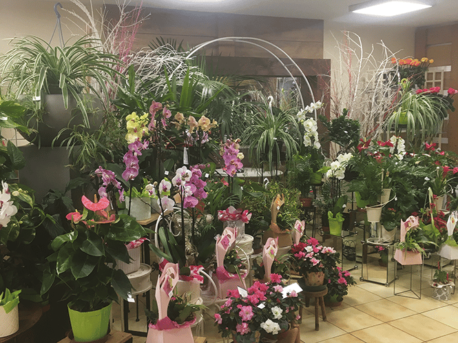 Floralys Passionnément… à Surgères - ICI Magazine